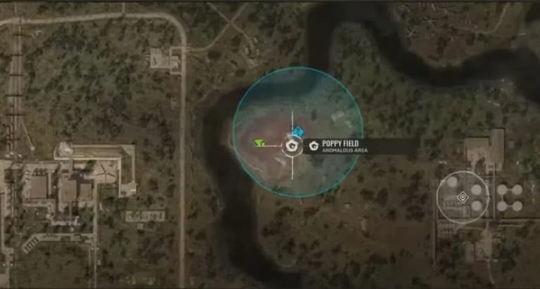 Stalker 2 Poppy Field Quest : Your Ultimate Guide